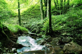 conteúdos de geografia: ESPAÇO NATURAL E ESPAÇO HUMANIZADO